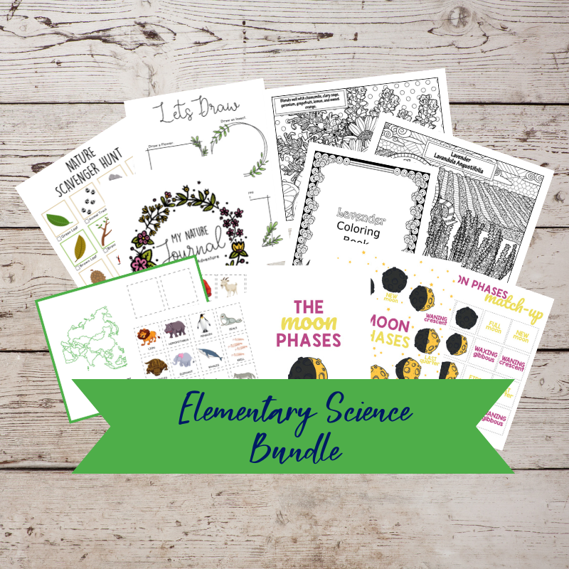Elementary Science Bundle – lifeasalifeschooler