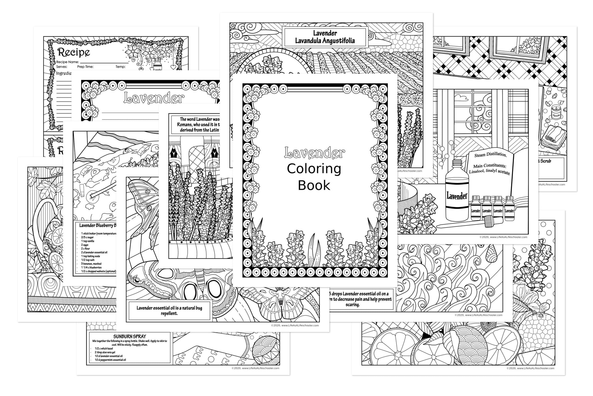 lavender coloring book